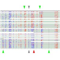 Greally lab people – GreallyLab
